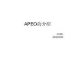 APEO.ppt - 豆丁网